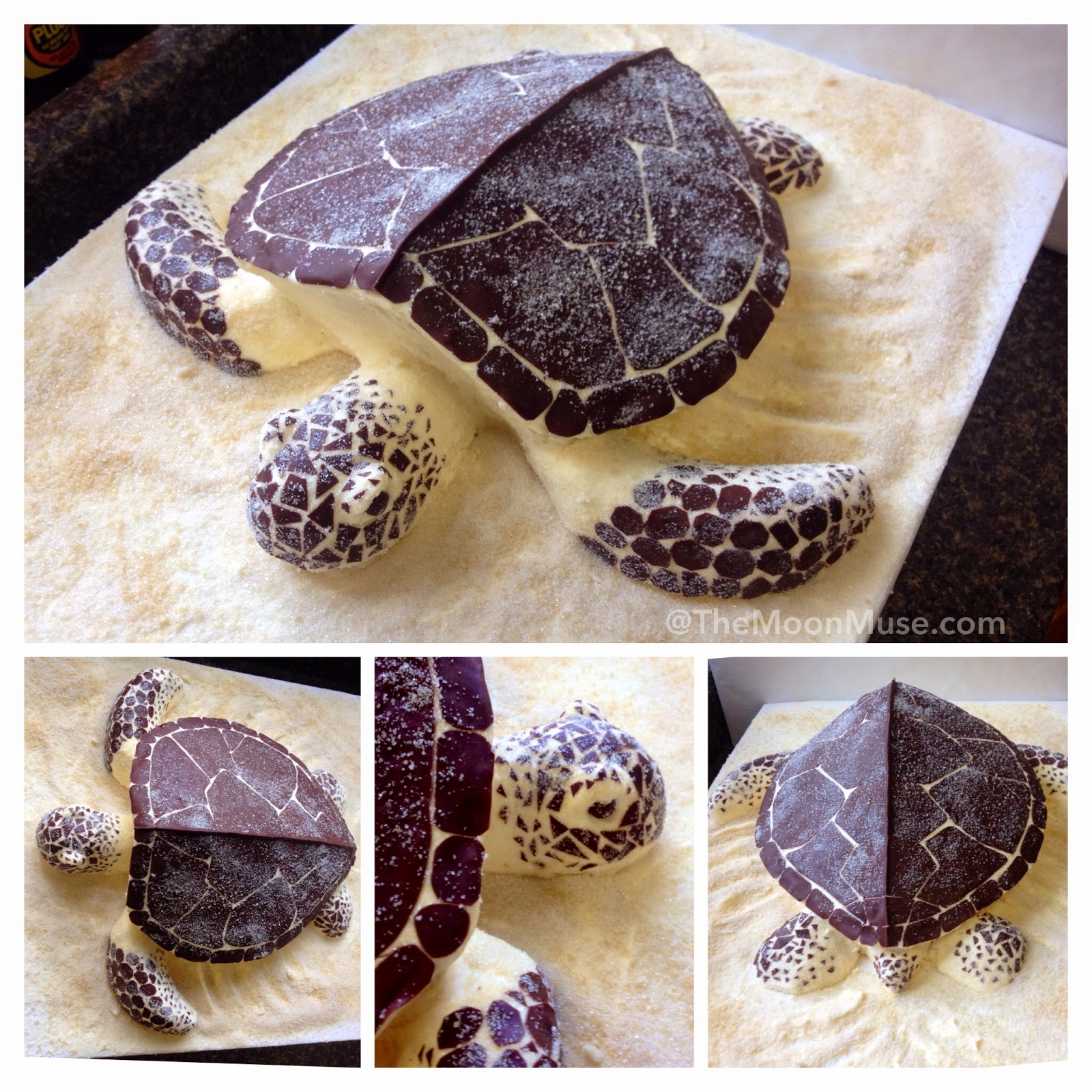 The Moon Muse Blog: Holy Sea Turtle Shaped Cake!